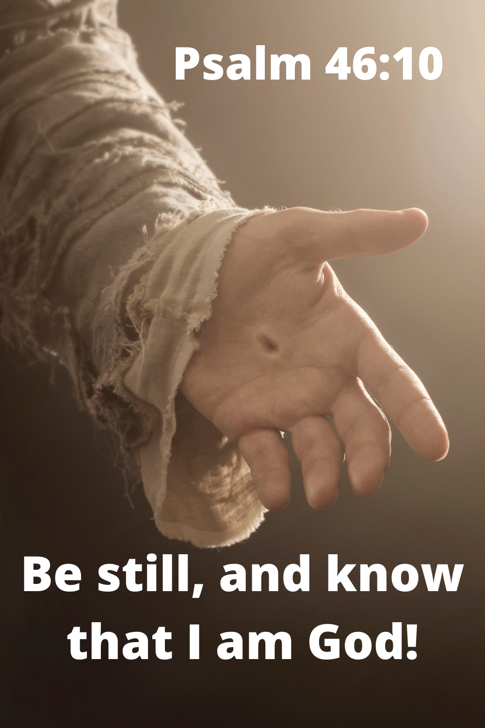 Focusing on God: Be Still or Be Distracted ~ The Shepherd's Sheep