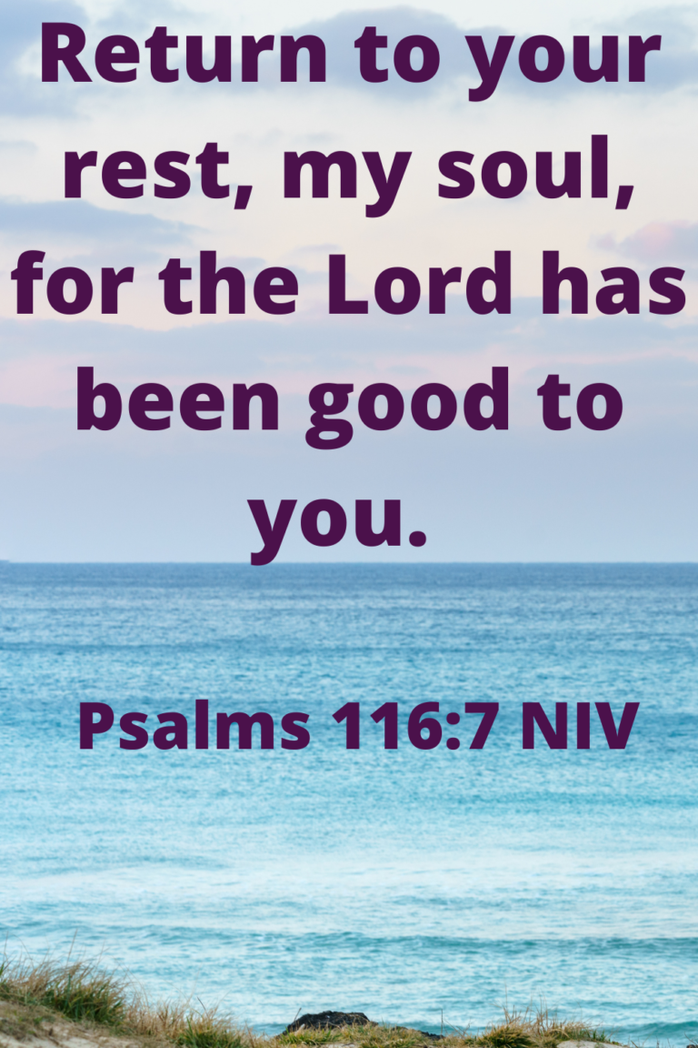 Facing Challenges in Life: God Help Us - The Shepherd's Sheep