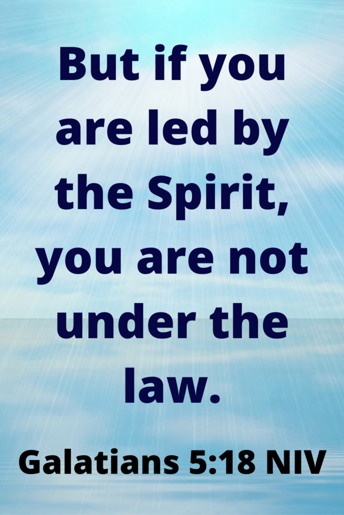 God’s Presence: Touched by the Holiness of God - The Shepherd's Sheep