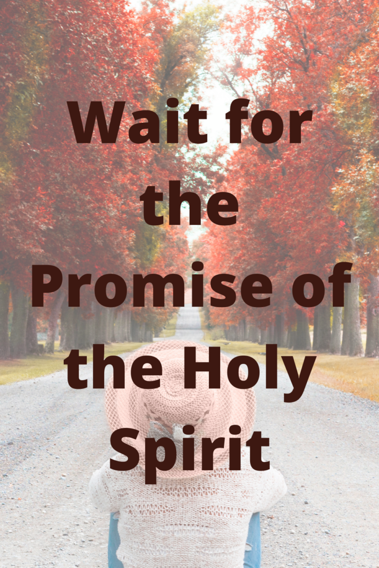 Wait for the Promise of the Holy Spirit - The Shepherd's Sheep