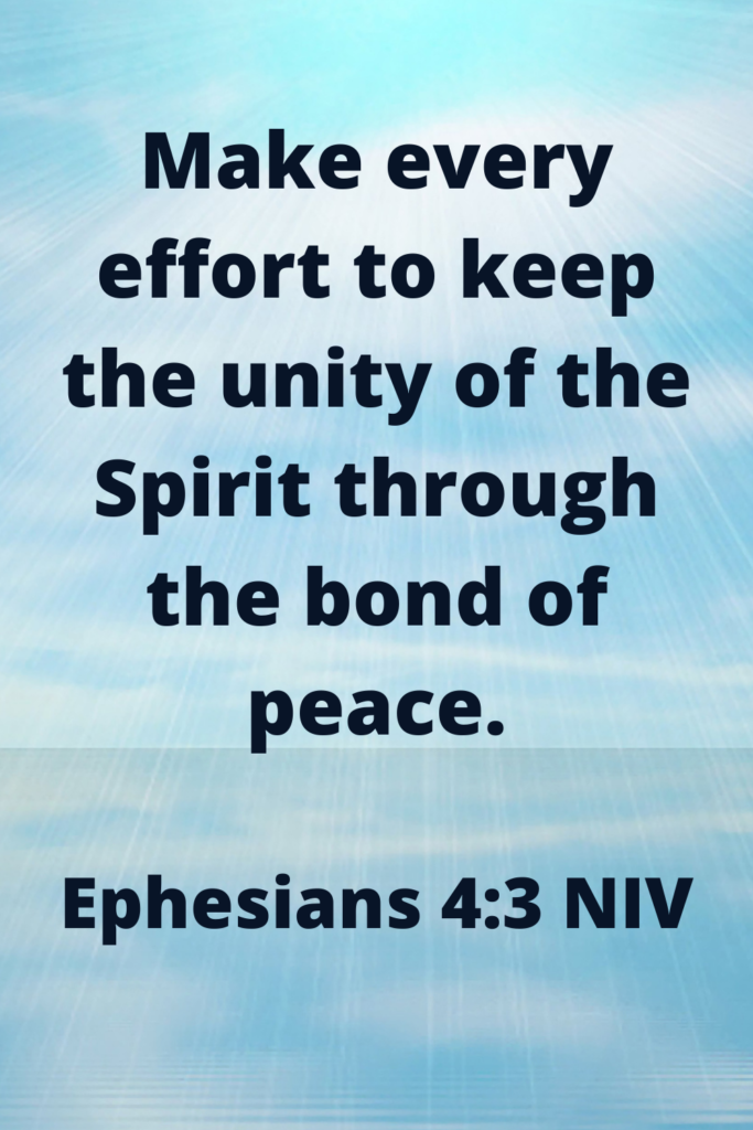 Seeking Unity of the Spirit - The Shepherd's Sheep