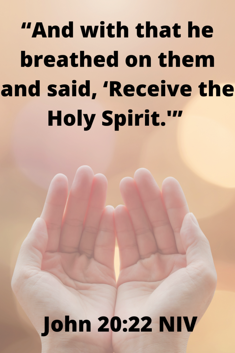 Seeking Unity of the Spirit - The Shepherd's Sheep