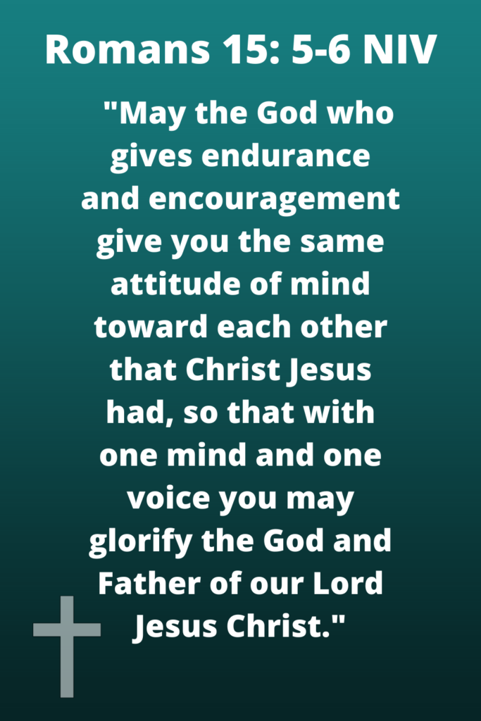 Seeking Unity of the Spirit - The Shepherd's Sheep