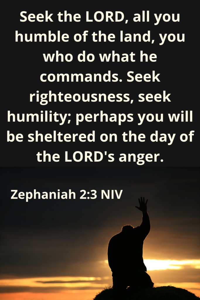 How to Seek God First in Your Life - The Shepherd's Sheep