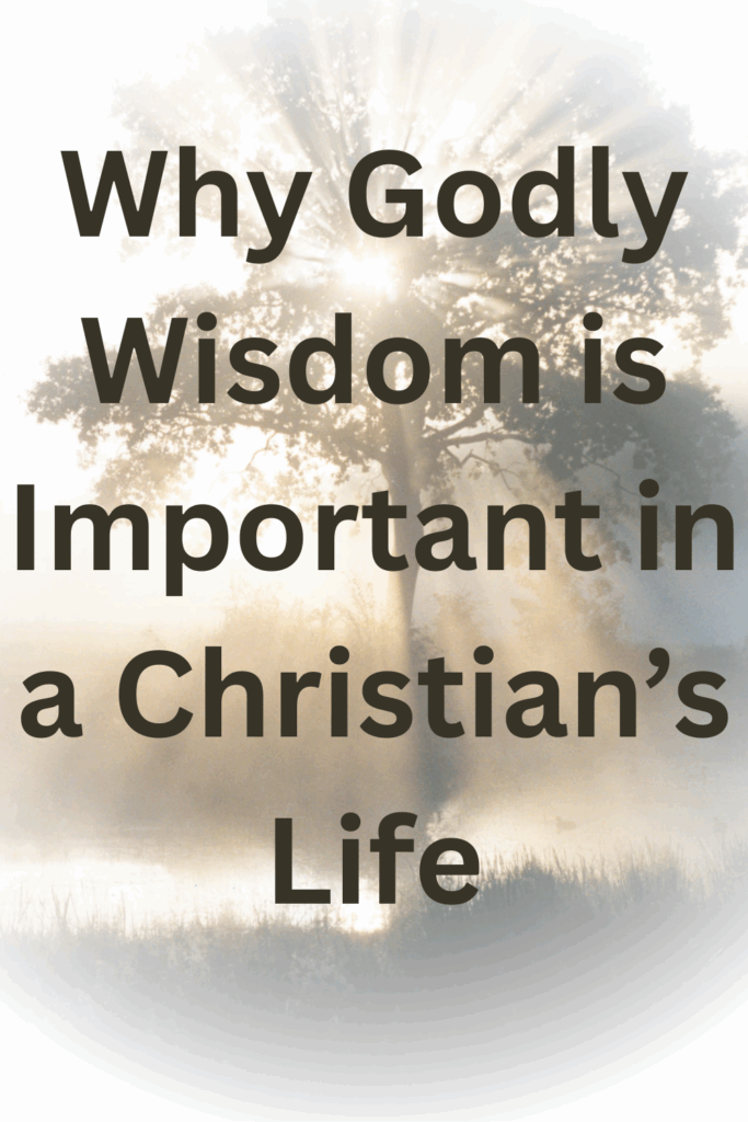 Why Godly Wisdom is Important in a Christian’s Life - The Shepherd's Sheep